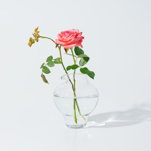 MONI flowervase | MIHO FLOWERS